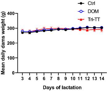 Potential Galactagogue Effect of Tri-Than-Thip Remedy on Milk Synthesis ...