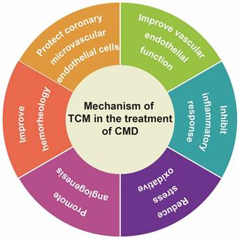 Chinese patent medicines for coronary microvascular disease: clinical ...