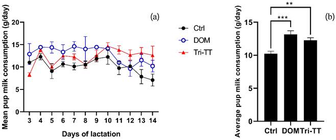 Potential Galactagogue Effect of Tri-Than-Thip Remedy on Milk Synthesis ...