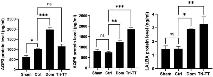 Potential Galactagogue Effect of Tri-Than-Thip Remedy on Milk Synthesis ...
